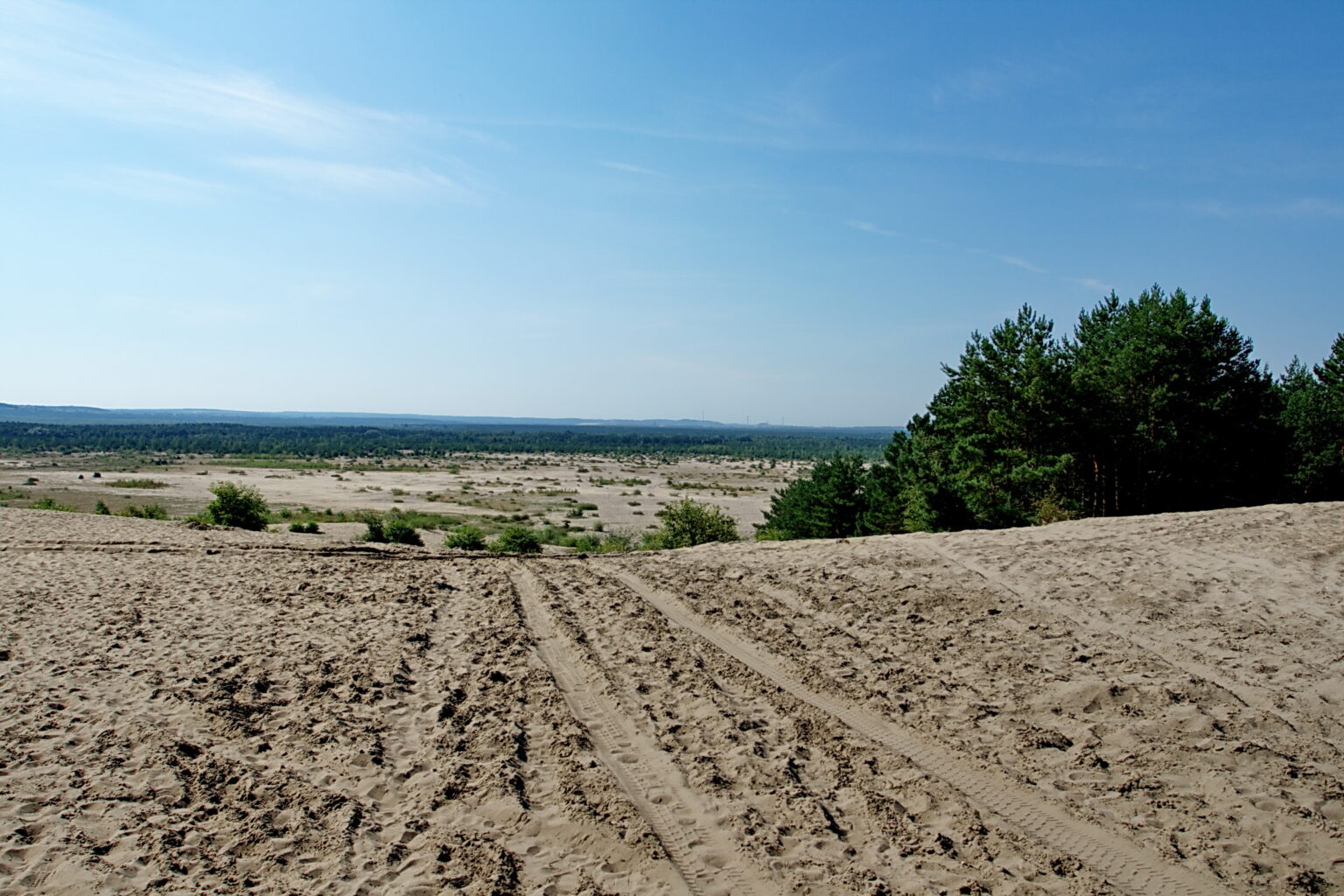 Błędów Desert 33 km² Polish Sahara – Largest in Central Europe